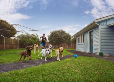 ANZ Bank New Zealand Ltd | Online Banking | ANZ